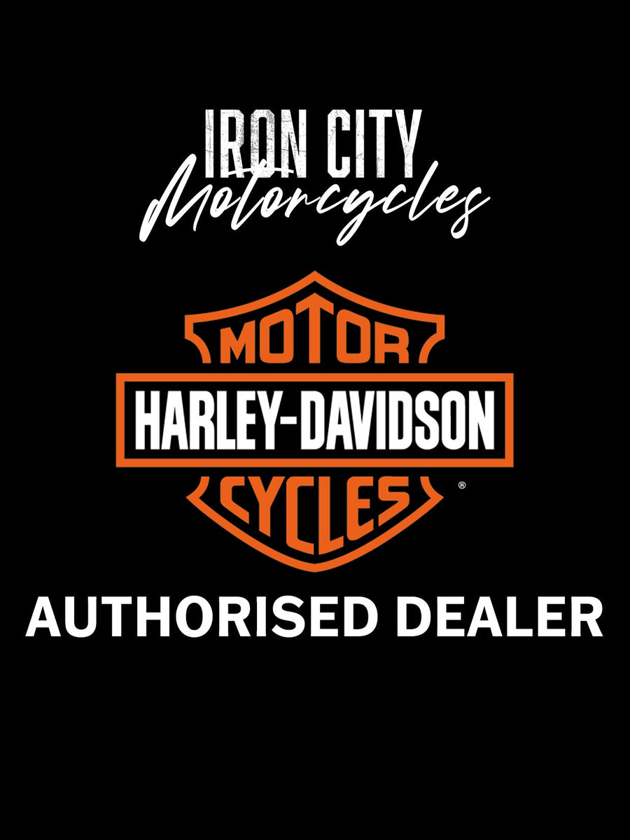 Harley Davidson 29400384 Filter, Luft, schwerer Entlüfter - Iron City ...